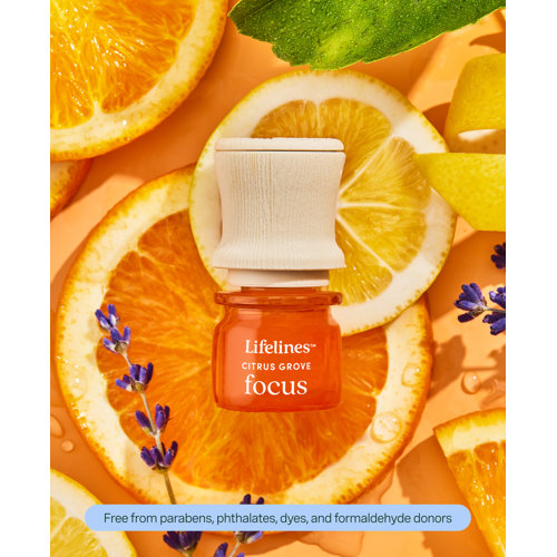 Lifelines Grounding Stones - Tactile Collection plus Essential Oil Blend & Reviews | Wayfair